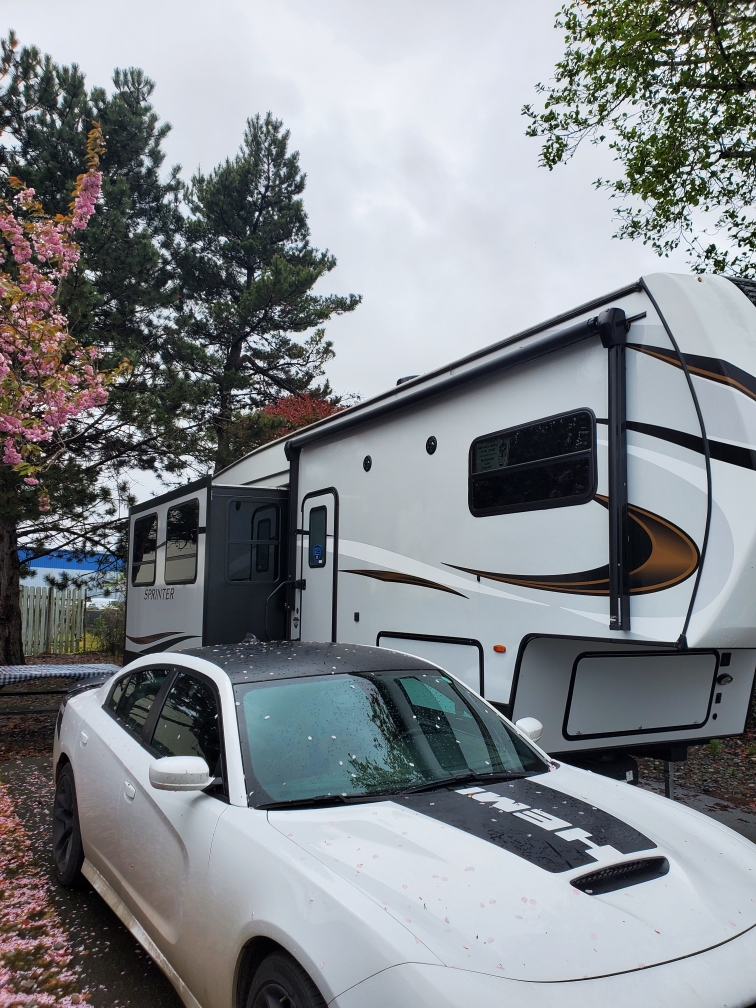 2021 Keystone Sprinter Campfire Edition 32BH - National Vehicle