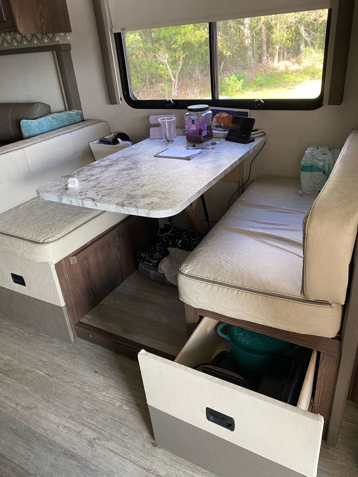 2020 Coachmen Pursuit 31TSP - National Vehicle